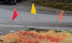 Navigating Utility Flags in Your Yard: When and How to Remove Them ...
