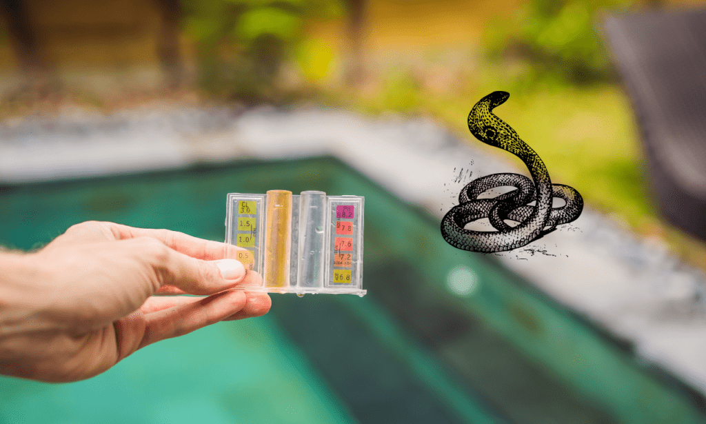 What Chemical Kills Snakes Instantly? A brief guide - interiorhomediy.com